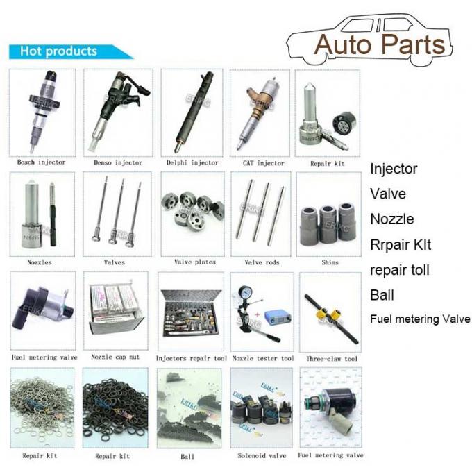 ERIKC 0445 110 348 Common Rail Fuel Injection 0 445 110 348 Diesel ...